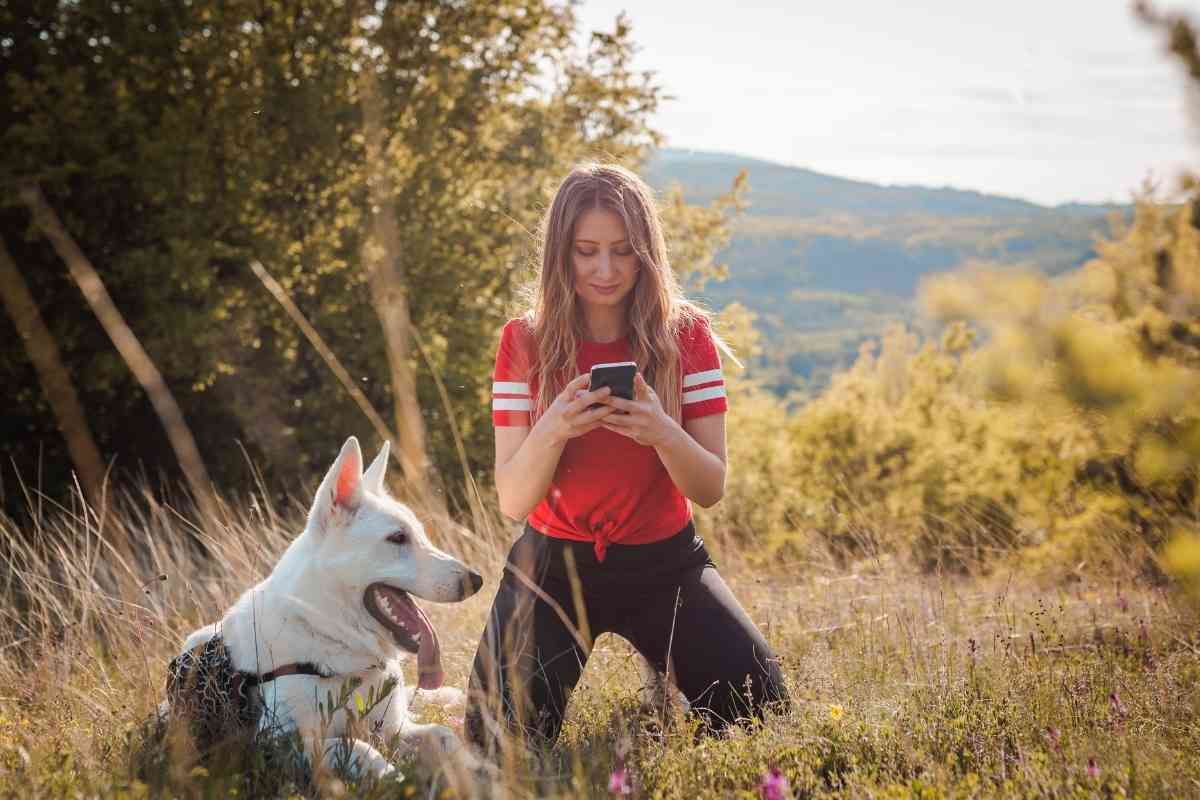 T-Mobile Or Metro PCS: Which Is Better?