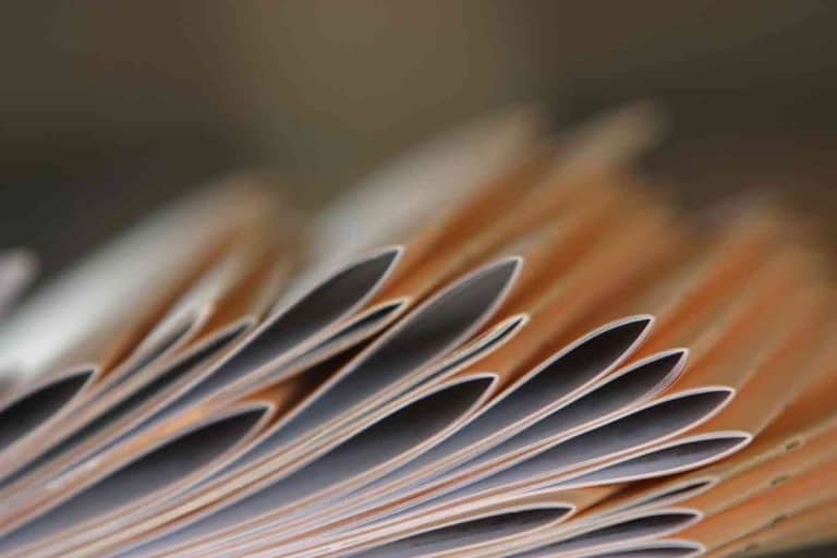 4 Steps To Create A Booklet In Apple Pages - The Gadget Buyer | Tech Advice