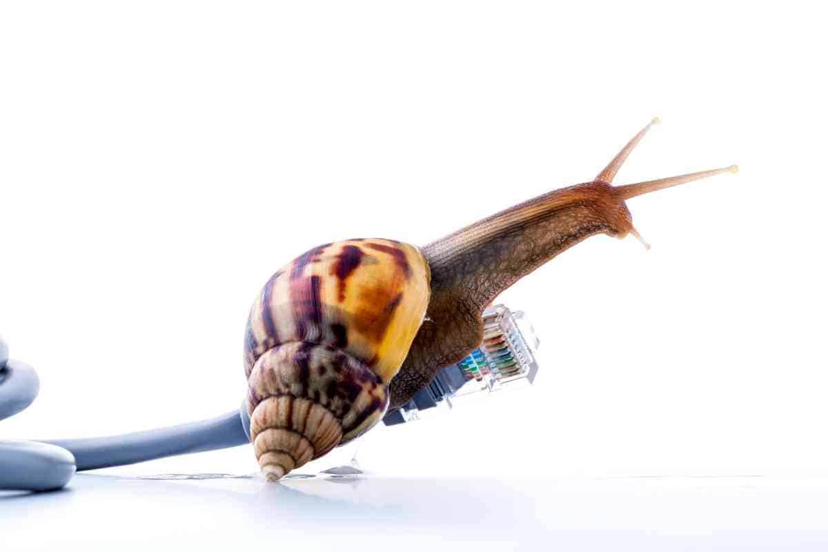 How To Boost Verizon 5G Home Internet: Tips And Tricks For Faster Speeds